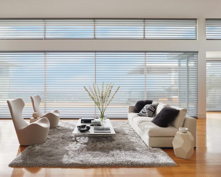 Motorized Shades + Smart Shades + Remote Control Blinds | St Paul, MN